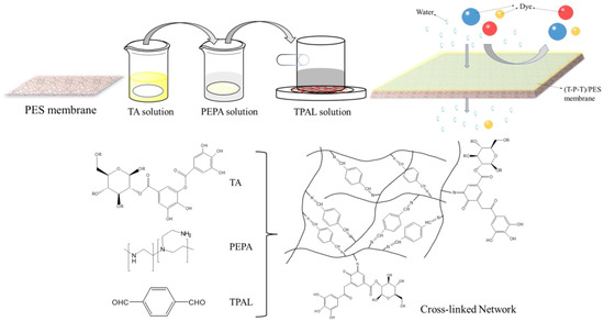 Interfacial Polymerization on Polyethersulfone Ultrafiltration Membrane ...