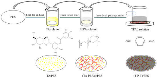 Interfacial Polymerization on Polyethersulfone Ultrafiltration Membrane ...