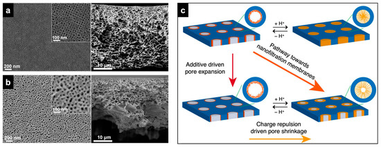 Non-Equilibrium Block Copolymer Self-Assembly Based Porous Membrane ...