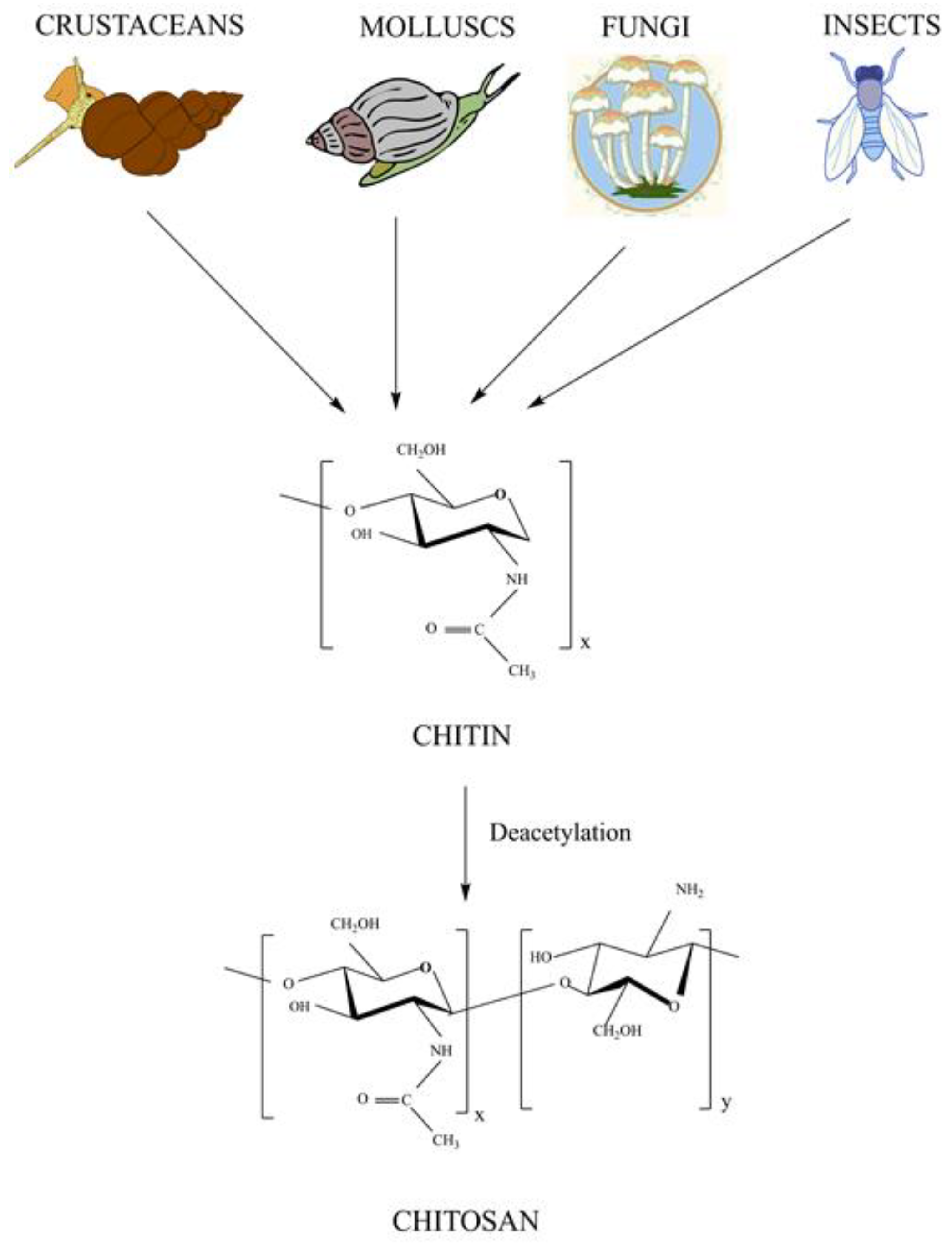 Chitosan-Based Polymer Blends for Drug Delivery Systems