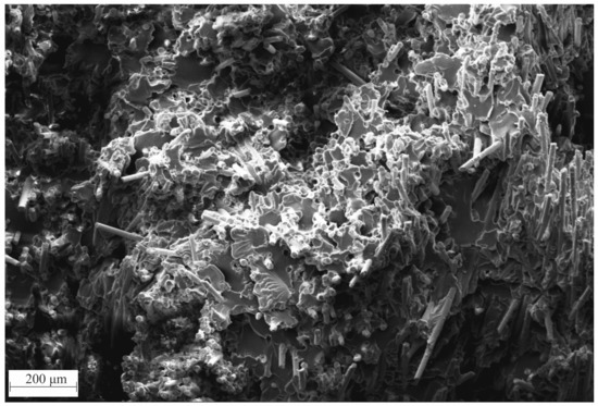 Approaching Polycarbonate as an LFT-D Material: Processing and ...