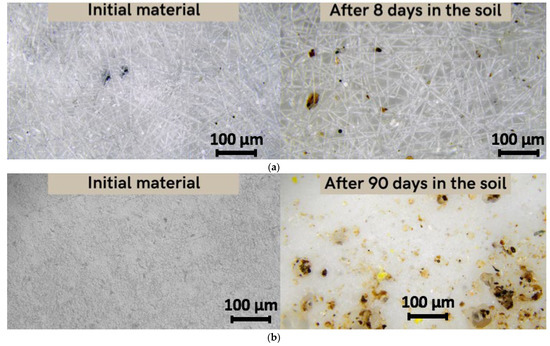Assessing the Biodegradability of PHB-Based Materials with Different ...