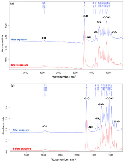 Assessing the Biodegradability of PHB-Based Materials with Different ...
