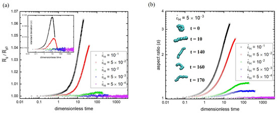 Microstructural Dynamics of Polymer Melts during Stretching: Radial ...