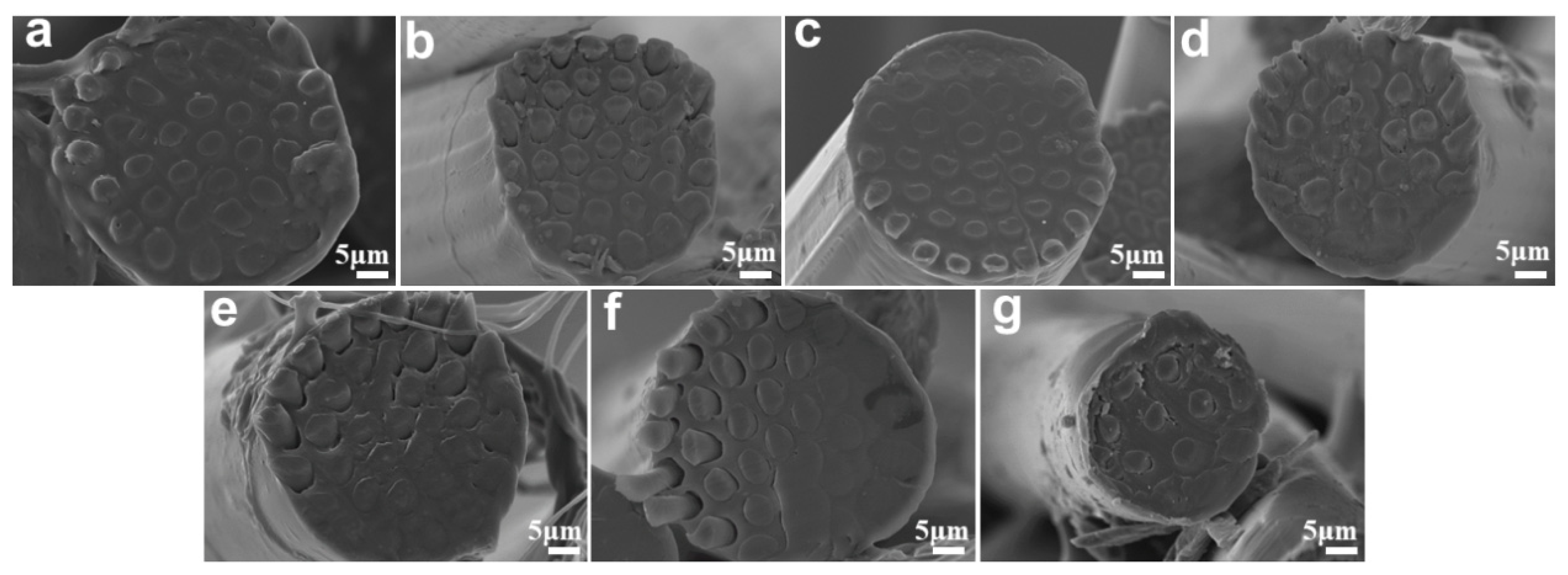 Properties and Structure of Thermoplastic Polyvinyl Alcohol/Polyamide ...