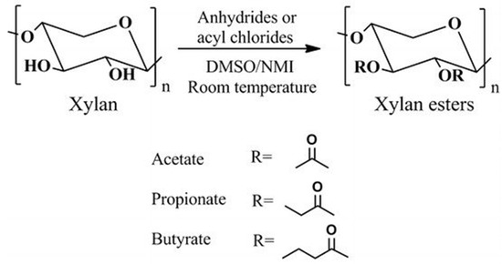 Green Approaches on Modification of Xylan Hemicellulose to Enhance the ...