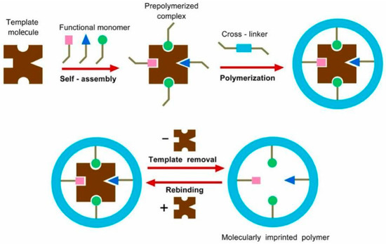 Advances in Molecular Imprinting Technology for the Extraction and ...