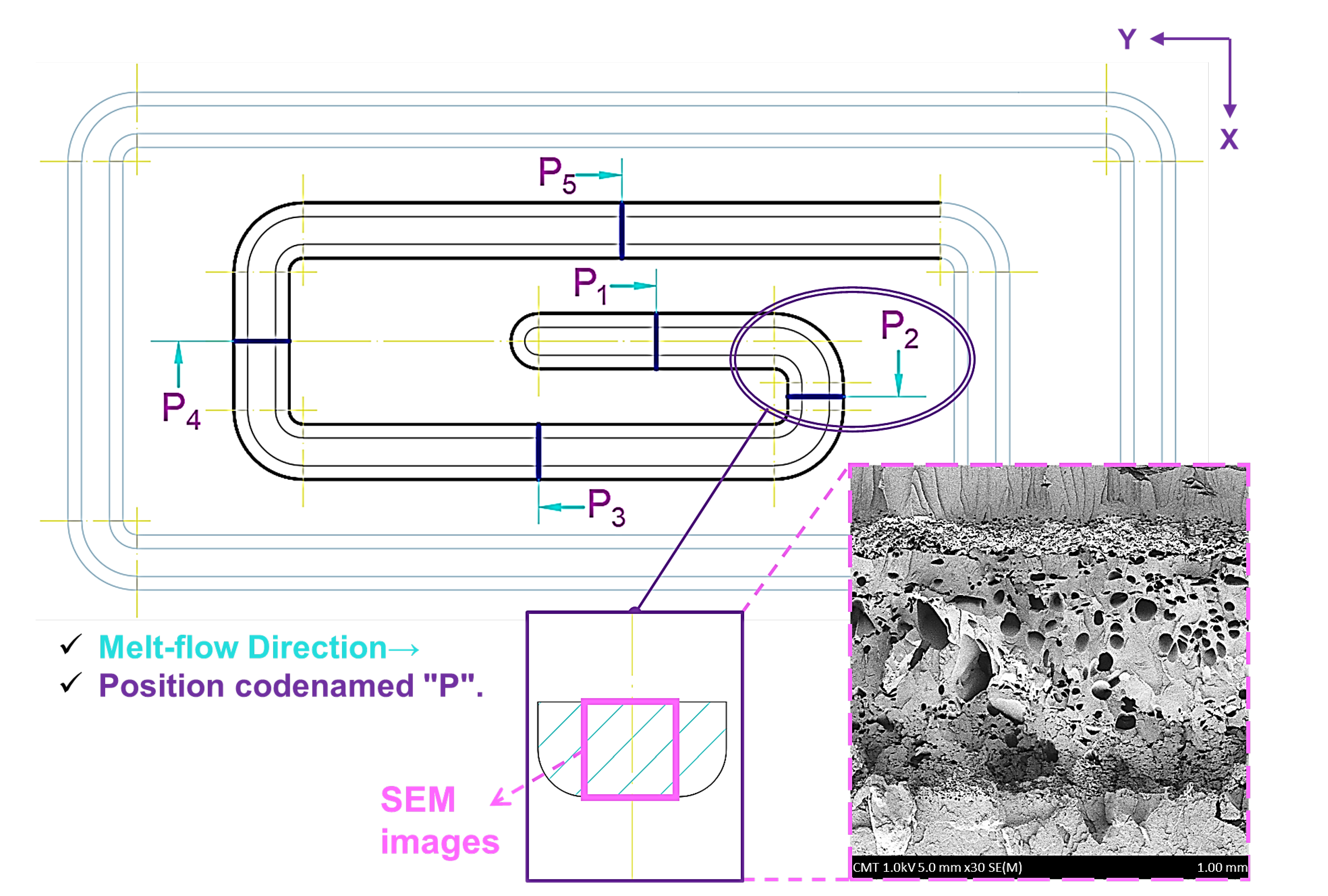 Study on the Flow, Foaming Characteristics and Structural Strength of ...