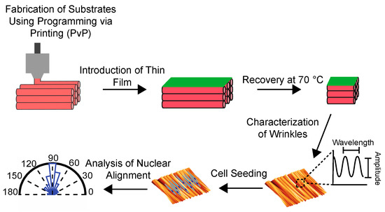 Surface Functionalization of 4D Printed Substrates Using Polymeric and ...