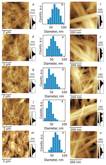 Polymers | Free Full-Text | Water Influence on the Physico-Chemical ...