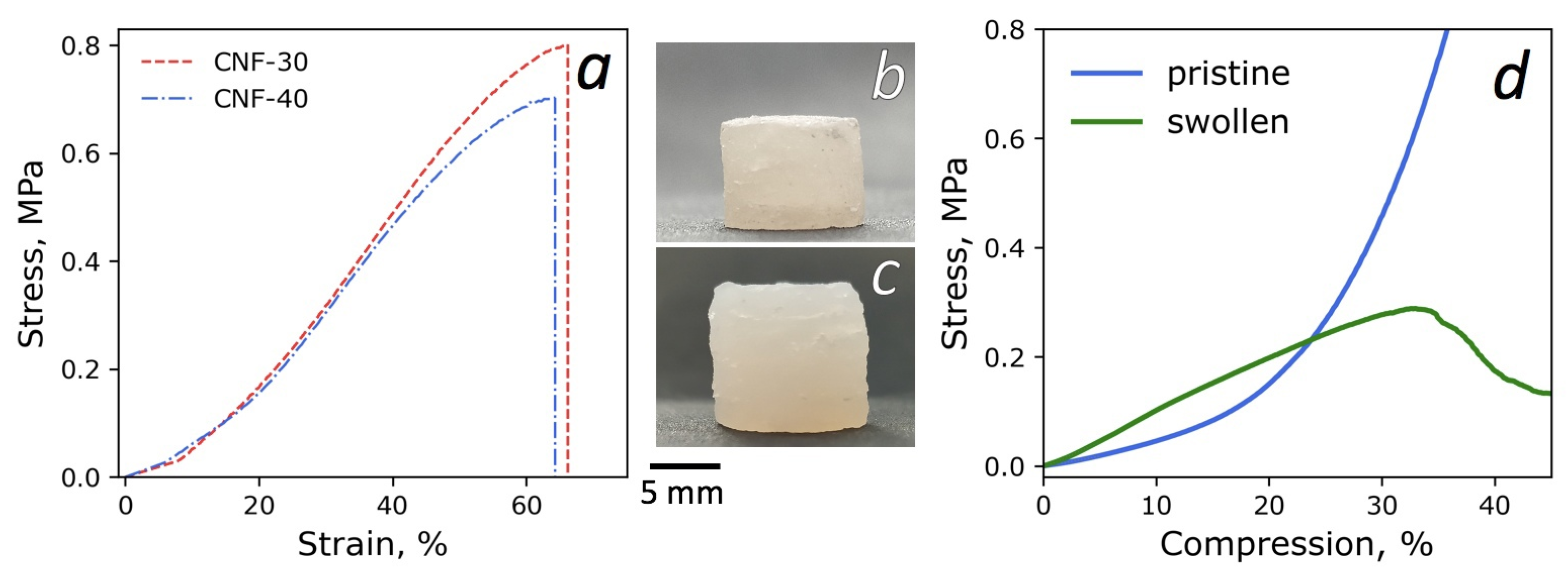 Polymers | Free Full-Text | Water Influence on the Physico-Chemical ...