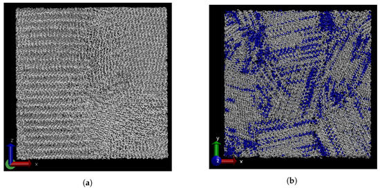 Molecular Weight Segregation and Thermal Conductivity of Polydisperse ...