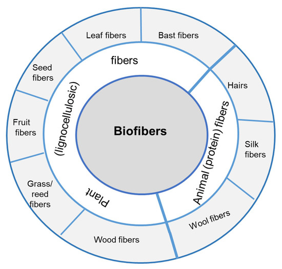 Insights into the Applications of Natural Fibers to Metal Separation ...