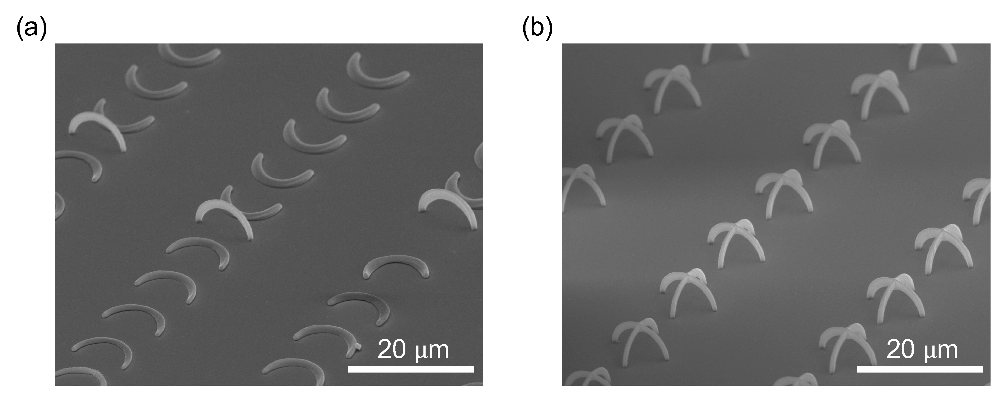 On-Chip 3D Printing of Polymer Waveguide-Coupled Single-Photon Emitter ...