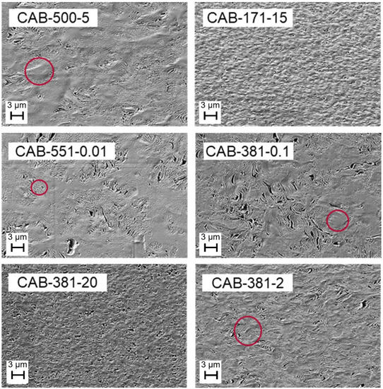 On Structural and Molecular Order in Cellulose Acetate Butyrate Films