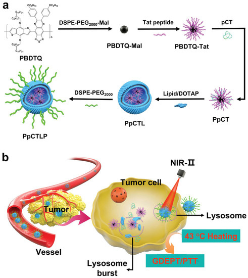 Design and Application of Hybrid Polymer-Protein Systems in Cancer Therapy