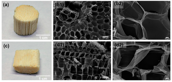 Preparation of Bio-Foam Material from Steam-Exploded Corn Straw by In ...