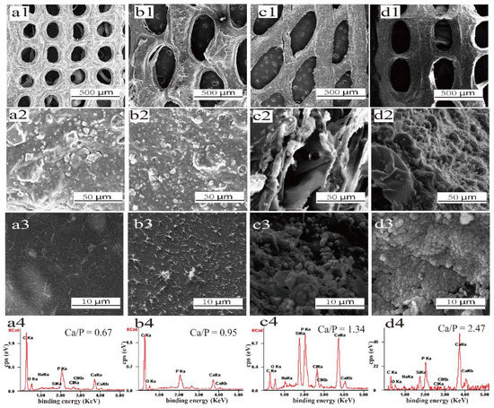 Three-Dimensional-Bioprinted Bioactive Glass/Cellulose Composite ...