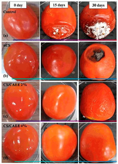 Chitosan Based Biodegradable Composite for Antibacterial Food Packaging ...