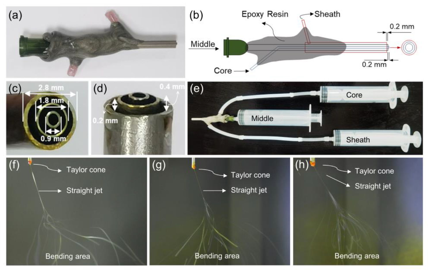 Engineered Shellac Beads-on-the-String Fibers Using Triaxial Electrospinning for Improved Colon ...