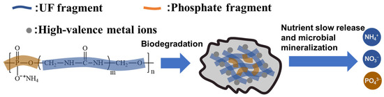 Polymers | Free Full-Text | Preparation of Novel Biodegradable Polymer ...