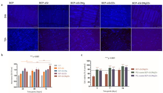 Polymers | Free Full-Text | In Vitro Evaluation of Biphasic Calcium Phosphate Scaffolds Derived ...