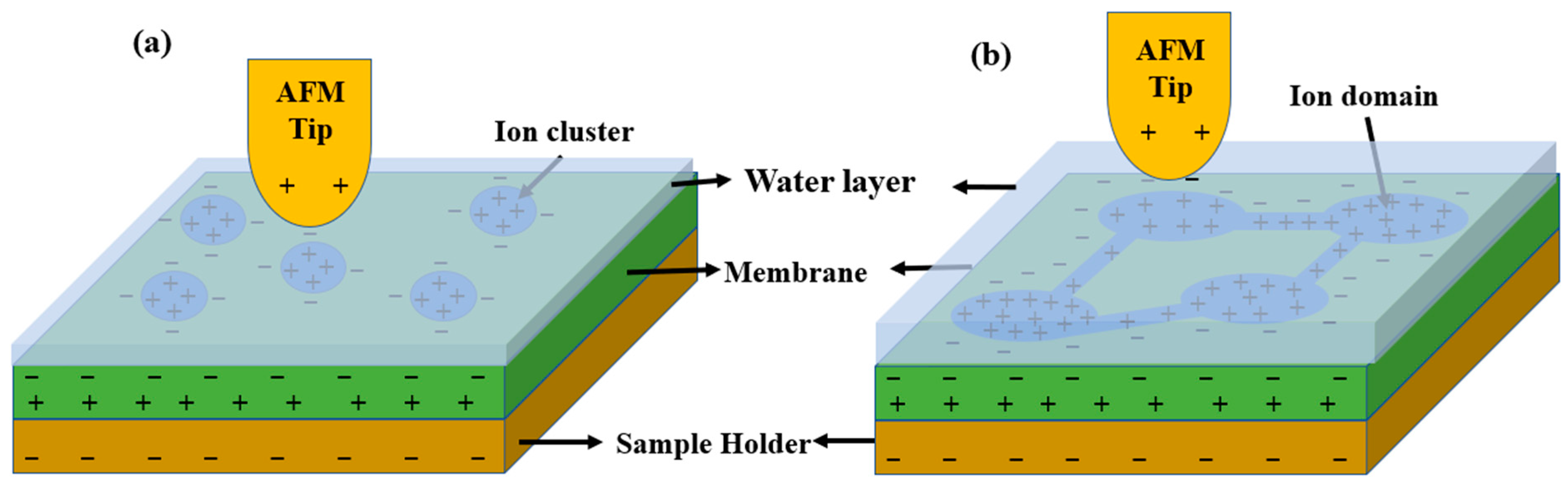 Quantitative Study of Charge Distribution Variations on Silica–Nafion ...