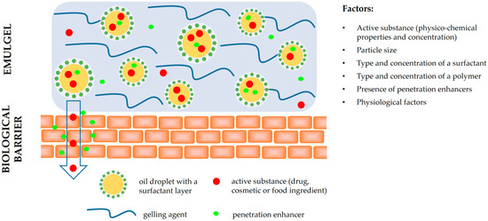 Emulgels: Promising Carrier Systems for Food Ingredients and Drugs