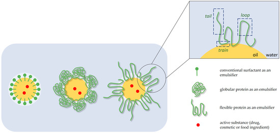Emulgels: Promising Carrier Systems for Food Ingredients and Drugs