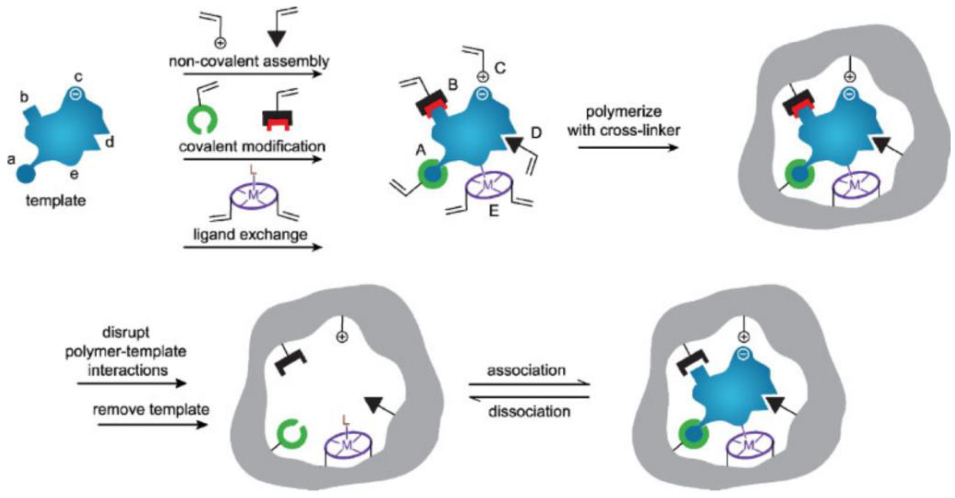 Polymers | Free Full-Text | Preparation and Application Progress of Imprinted Polymers