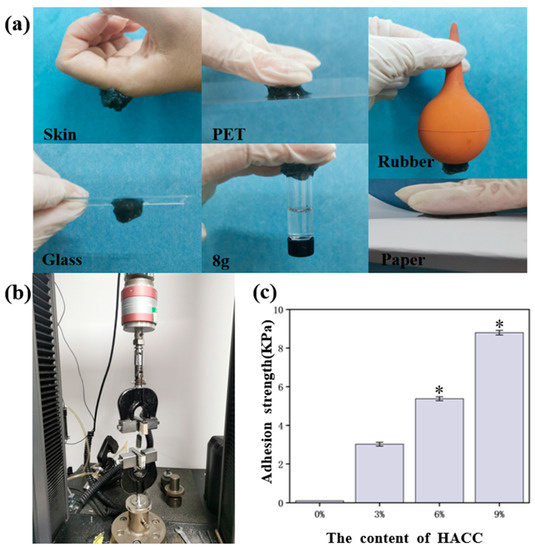 Antimicrobial and Mechanical Properties of Ag@Ti3C2Tx-Modified PVA ...