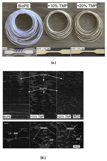 Biocompatible and Biodegradable 3D Printing from Bioplastics: A Review
