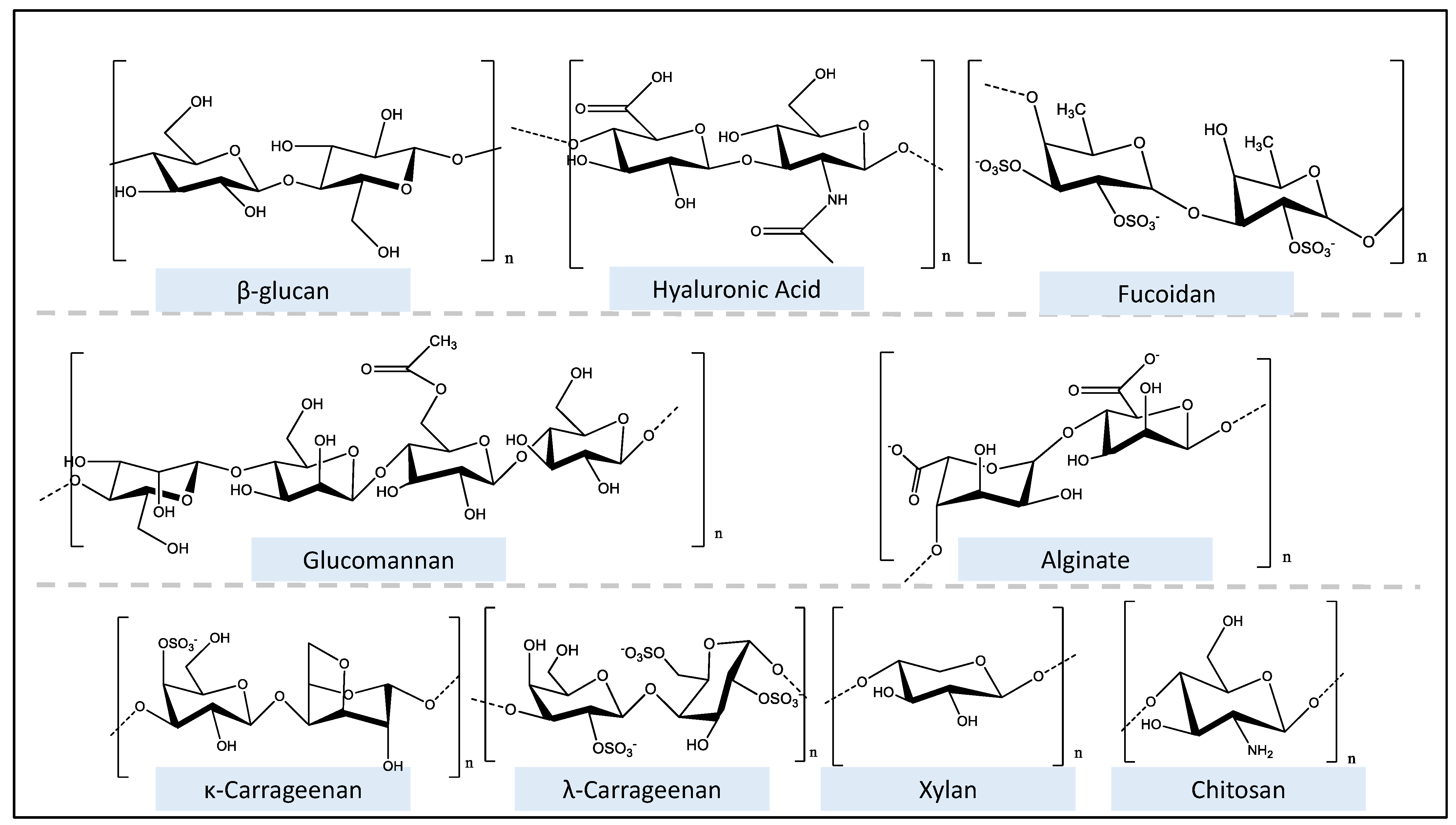Structure Of Monosaccharides Disaccharides And Polysaccharides