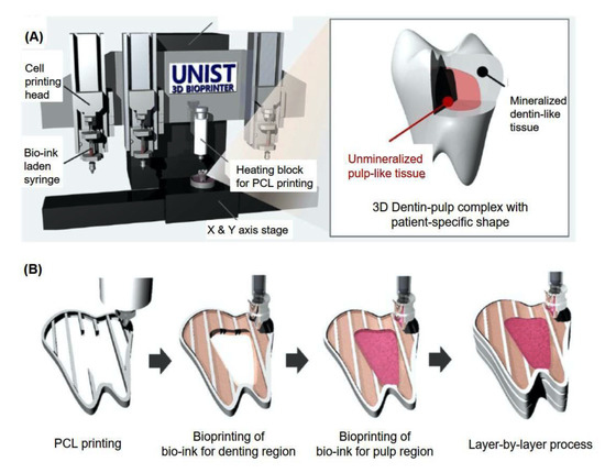 Dental Materials Applied to 3D and 4D Printing Technologies: A Review