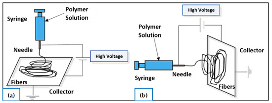Overview of Electrospinning for Tissue Engineering Applications