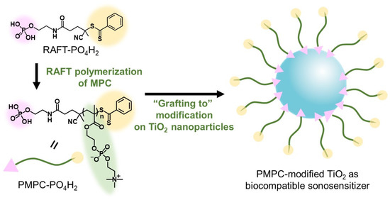 Biocompatible Polymer-Grafted TiO2 Nanoparticle Sonosensitizers ...