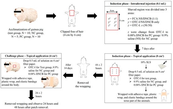 Biological Safety Assessments of High-Purified Ovine Collagen Type I ...
