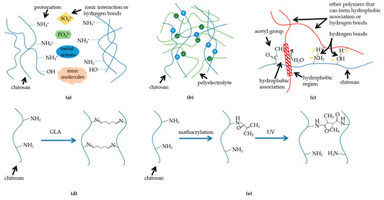 Synthesis, Characterization, Properties, and Biomedical Application of Chitosan-Based Hydrogels