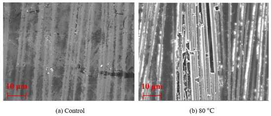 The Aging Behavior and Life Prediction of CFRP Rods under a ...