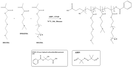 Polymers | Free Full-Text | Triple Hydrophilic Statistical Terpolymers ...