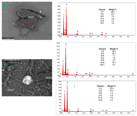 Fabrication and Characterization of Magnetic Cellulose–Chitosan–Alginate Composite Hydrogel Bead ...