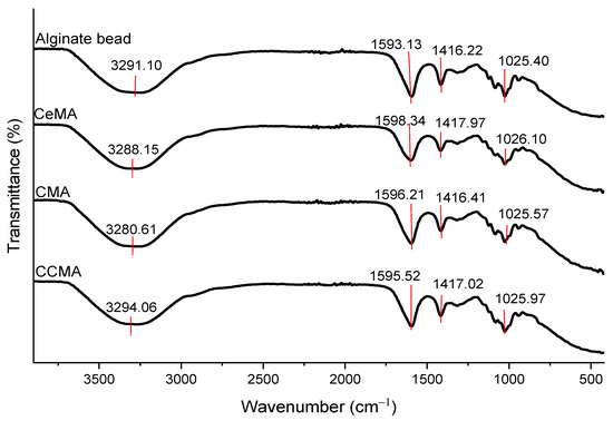 Fabrication and Characterization of Magnetic Cellulose–Chitosan ...