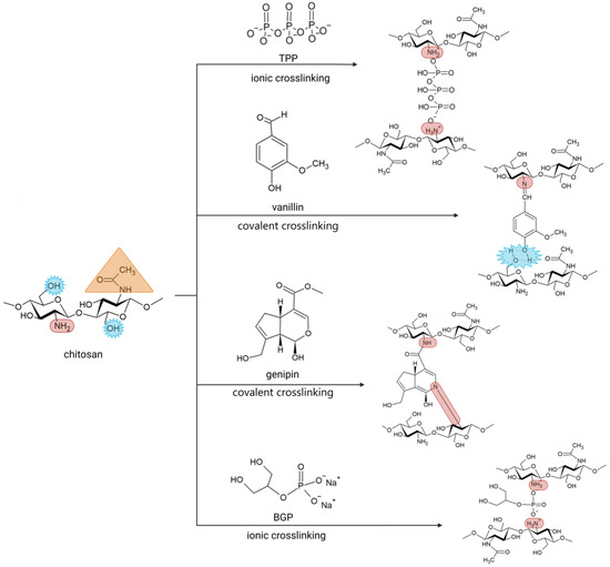 Effect of Selected Crosslinking and Stabilization Methods on the ...