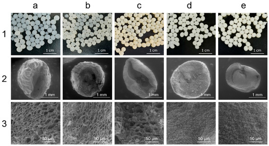 Bacteria-Polymer Composite Material for Glycerol Valorization