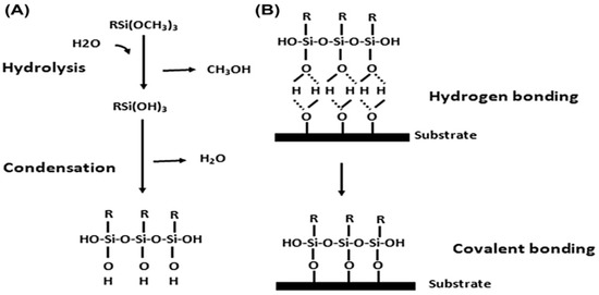 A Comprehensive Review on Processing, Development and Applications of ...