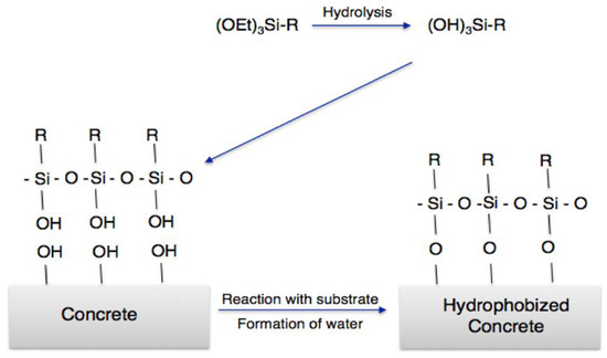 A Comprehensive Review on Processing, Development and Applications of ...