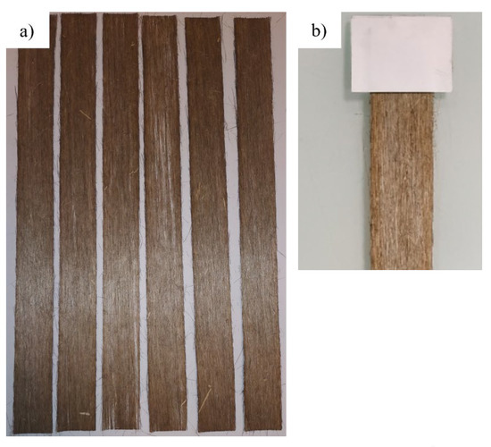 Multi Scale Analysis of the Retting and Process Effect on the ...