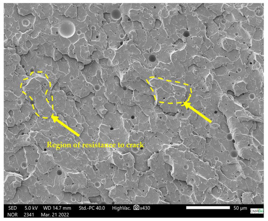 Development of an Epoxy Matrix Hybrid Composite with Astrocaryum ...