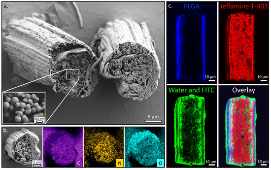 Controlling Nano-to-Microscale Multilevel Architecture in Polymeric ...