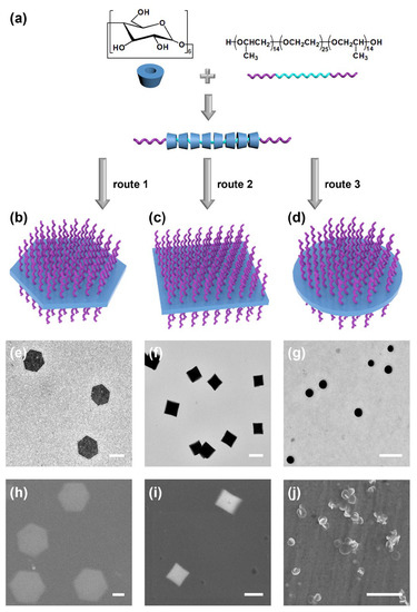Assembly of Supramolecular Nanoplatelets with Tailorable Geometrical ...